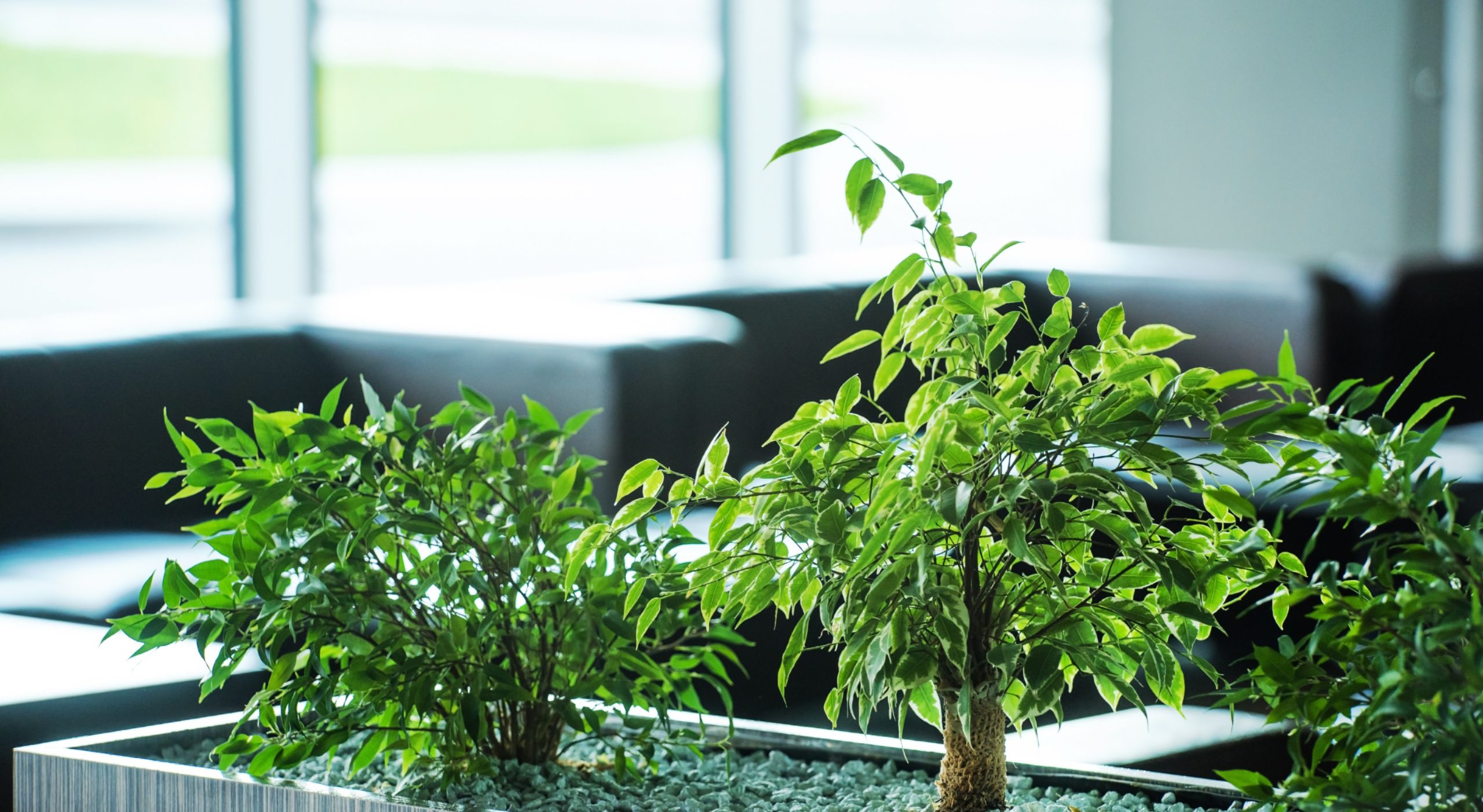 JB&B – Jaros Baum & Bolles